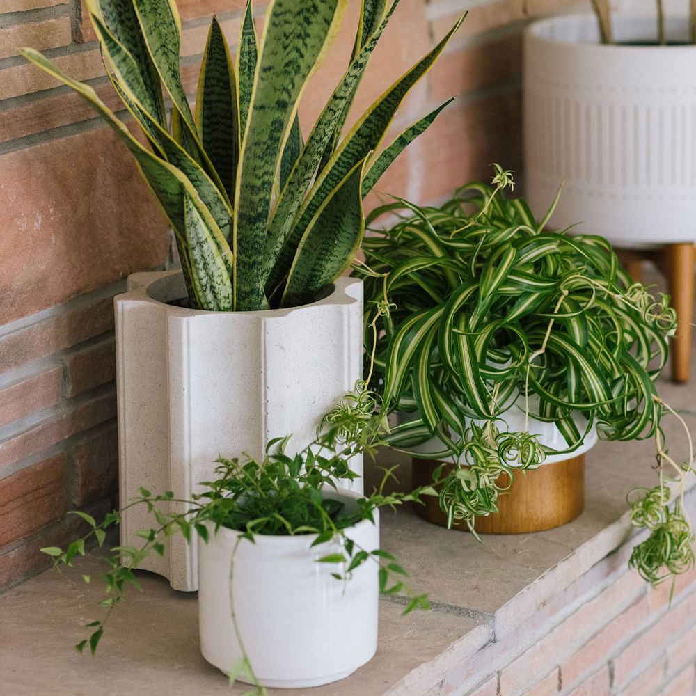 Column Fibrestone Indoor/Outdoor Planters | West Elm