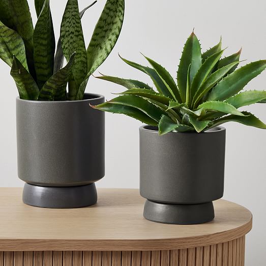 Bishop Ceramic Indoor/Outdoor Tabletop Planters | West Elm