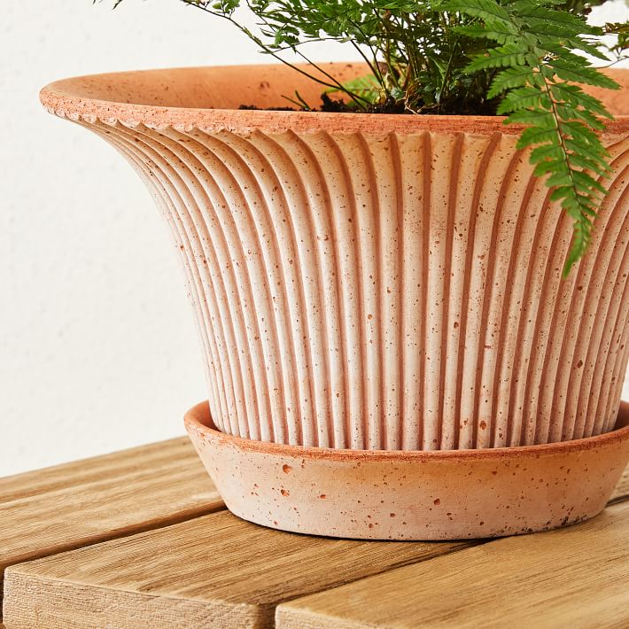 Bergs Daisy Indoor/Outdoor Tabletop Planters | West Elm