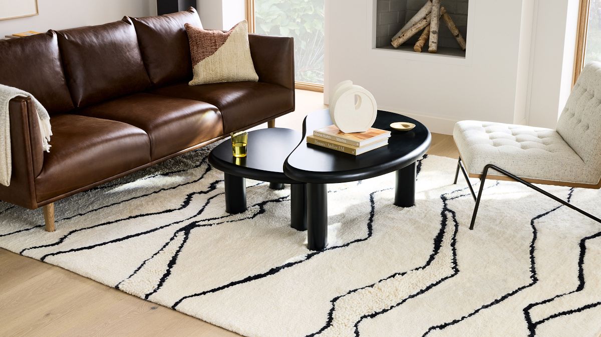 Carrerra Shag Rug | West Elm