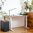 Branch Duo Standing Desk | West Elm