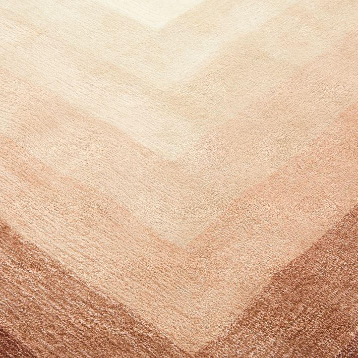 Ombre Border Rug | West Elm