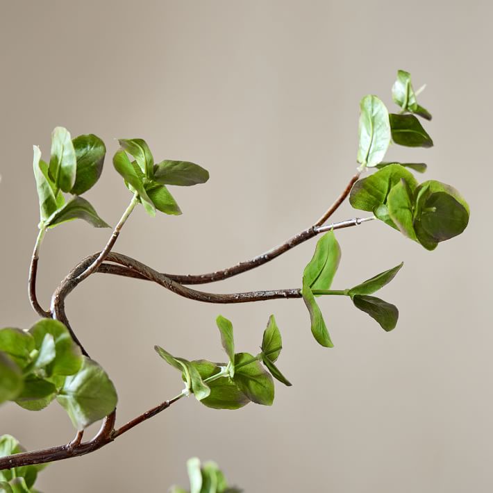 Faux Potted Wire Netting Bush Plant | West Elm