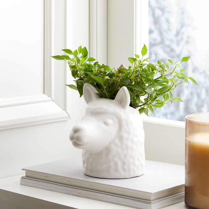 Llama Head Planter | West Elm
