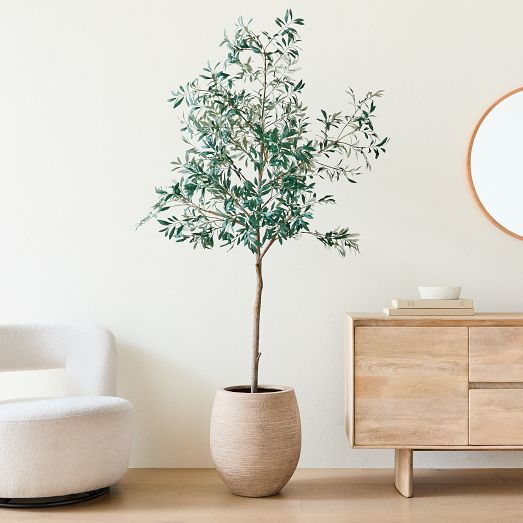 Faux Potted Olive Tree & Curved Round Planter Bundle | West Elm