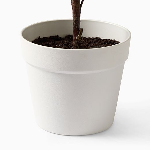 Faux Potted Wire Netting Bush Plant | West Elm