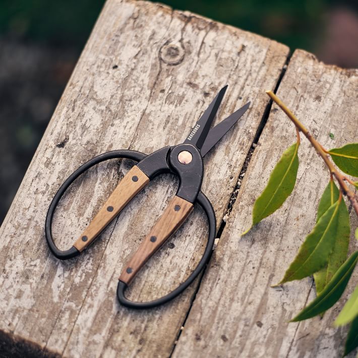 Garden Scissors | West Elm