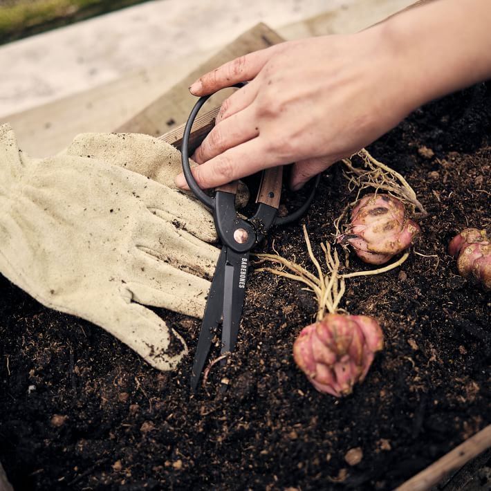 Garden Scissors | West Elm