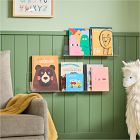 Acrylic Ledge Shelf | West Elm