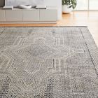 Indra Rug | West Elm