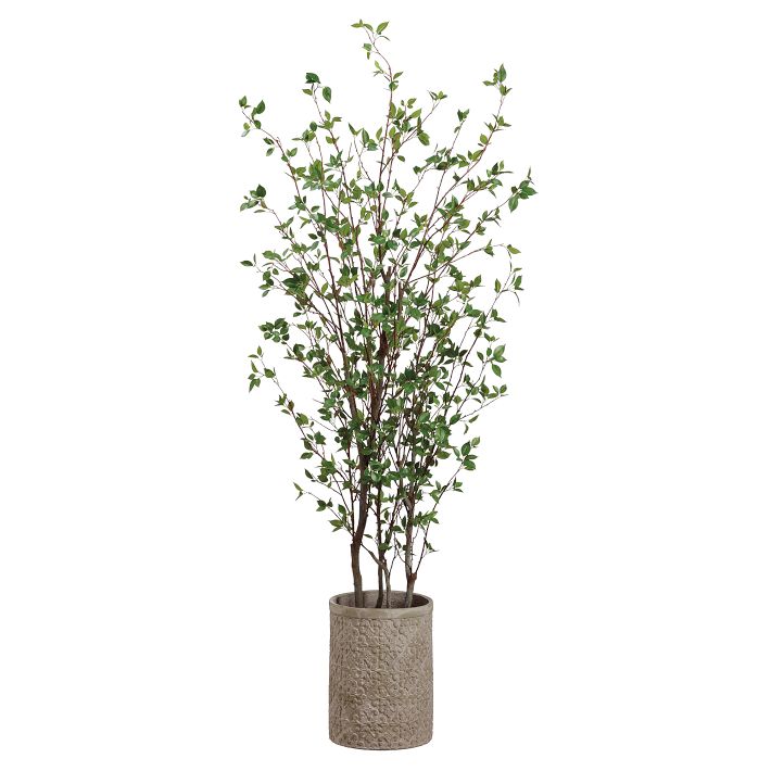 Faux Potted Cornus Tree w/ Planter | West Elm