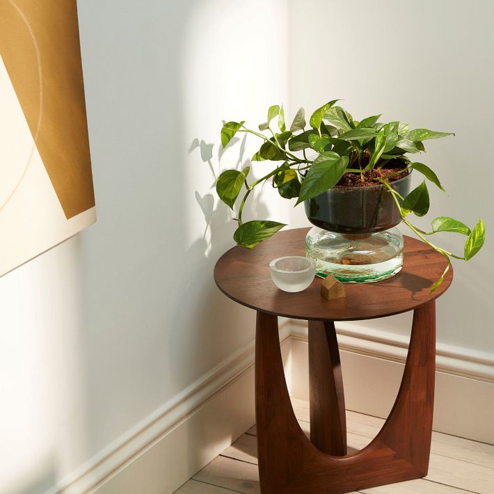 Canopy Glass Self-Watering Planter | West Elm