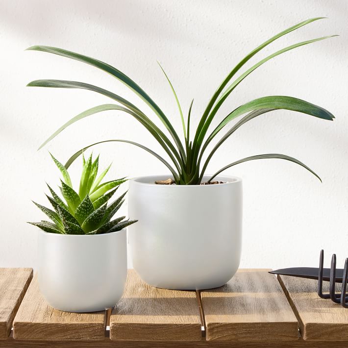 Radius Ceramic Indoor/Outdoor Tabletop Planters | West Elm