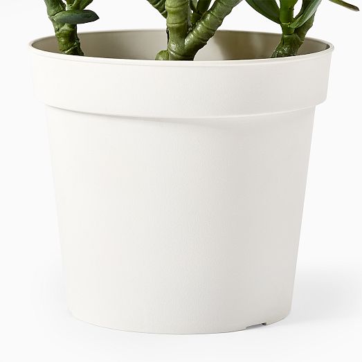 Faux Potted Jade Plant | West Elm