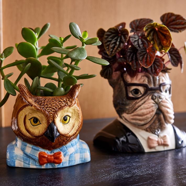 Dapper Animal Planters | West Elm