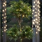 50' LED String Lights | West Elm
