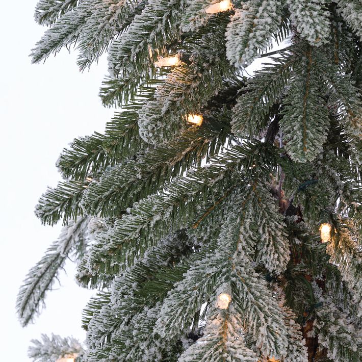 Pre-Lit Faux Natural Cut Flocked Alpine Tree | West Elm