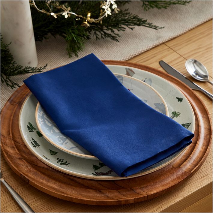 Bergen Sateen Napkin Sets | West Elm