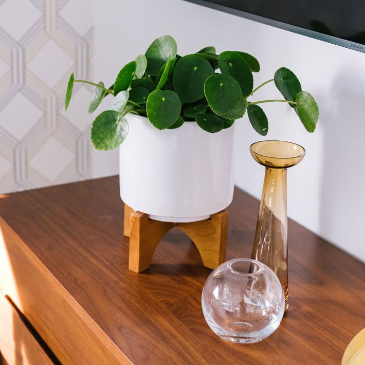 Mid-Century Turned Wood Tabletop Planters | West Elm