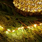 LED Spray String Lights | West Elm