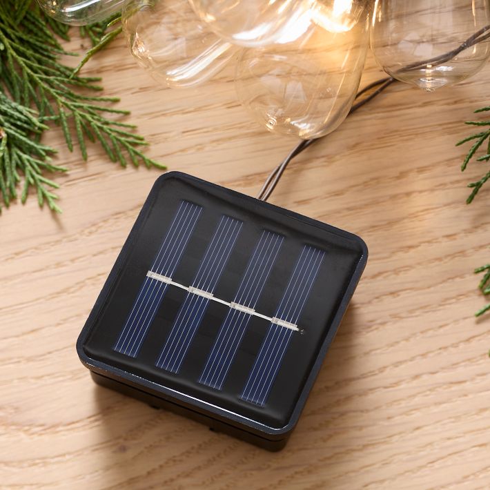 Edison String Lights - Brown | West Elm