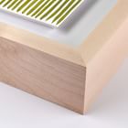 Polypodiales Framed Wall Art by Marianne Hendriks | West Elm