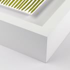 Polypodiales Framed Wall Art by Marianne Hendriks | West Elm