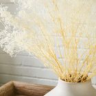 Dried Gypso Bunch | West Elm