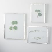 Picture Frames: Tabletop & Wall Frames | West Elm