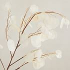 Faux Lunaria Branch | West Elm