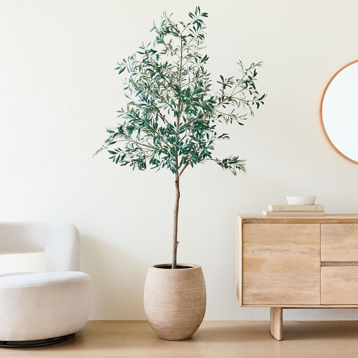 Faux Potted Olive Tree & Curved Round Planter Bundle | West Elm