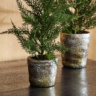 Faux Juniper Tree | West Elm
