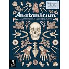 Anatomicum | West Elm