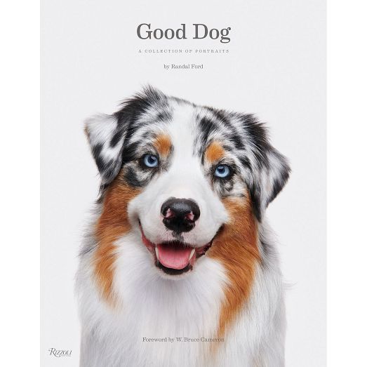 Good Dog | West Elm
