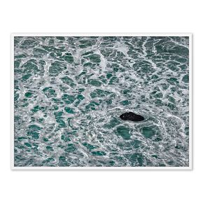 The Life Of Water Framed Wall Art by Shawn Thomas | West Elm