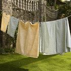 RHODE Garden Sheet Set | West Elm