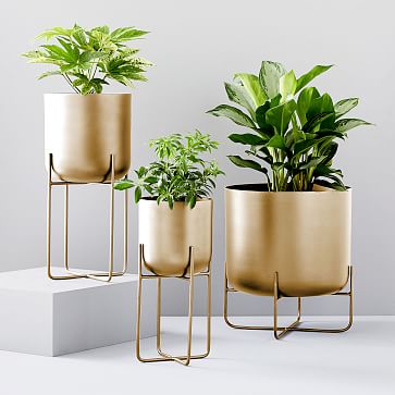 West elm planters store