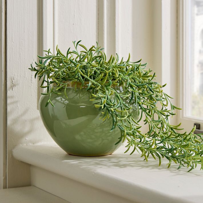 Faux Potted Drippy Plant | West Elm