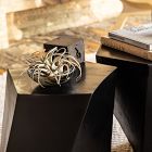 Patrick Cain Designs Scutoid Coffee Table (31"–37.5") | West Elm