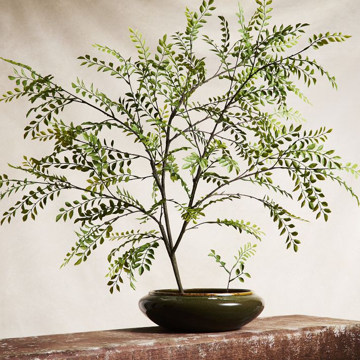 Faux Fern Branch | West Elm