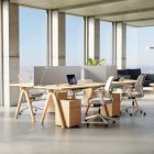 Privacy & Modesty Screens | West Elm