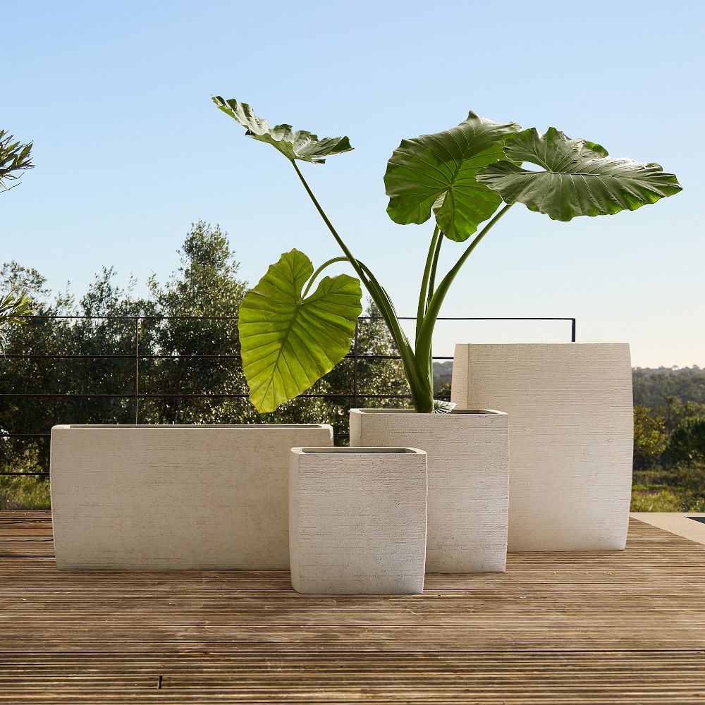 Curved Square Ficonstone Indoor/Outdoor Planters | West Elm