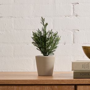 Faux Potted Subtle Glitter Pine Tabletop Tree | West Elm