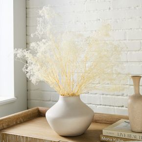 Dried Gypso Bunch for Indoor Decor | West Elm