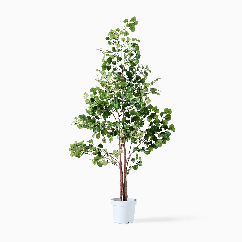 Faux Potted Ficus Tree, 72" Tall | West Elm